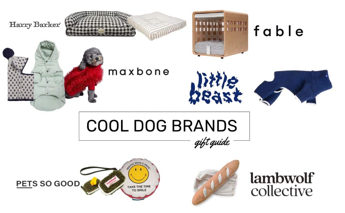 Paw-some Picks For 2025: 6 Cool Dog Brands You Need To Know This ...
