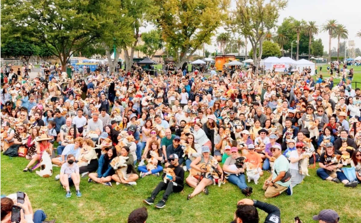 Annual Dog Breed Meet-Ups & Events In 2025 For Dog Lovers - Canine Journal