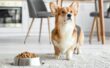 Corgi Feeding Chart: How Much To Feed Your Corgi Puppy - Canine Journal
