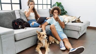 How To Trim Dog Nails At Home: How Often, Clipping, Grinding & More ...