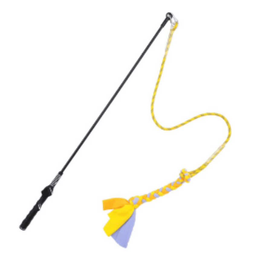 Best Flirt Pole For Dogs: How To Use A Flirt Pole & Why You Should Have One