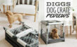 Diggs Dog Crate Review: Is The Revol Collapsible Crate Worth The Cost?