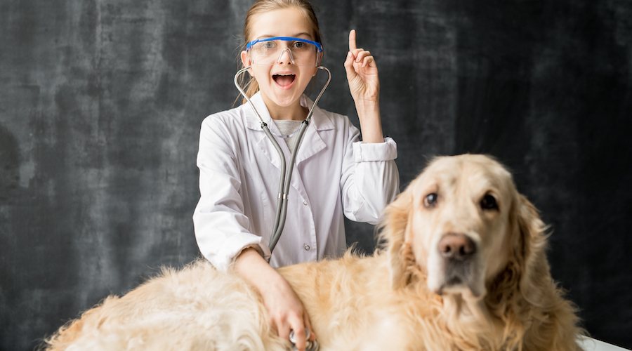 Dog Careers: Best Jobs For People That Love Working With Dogs - Canine ...