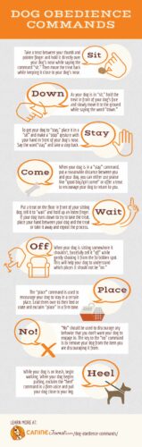 How To Teach Basic Dog Commands - Canine Journal
