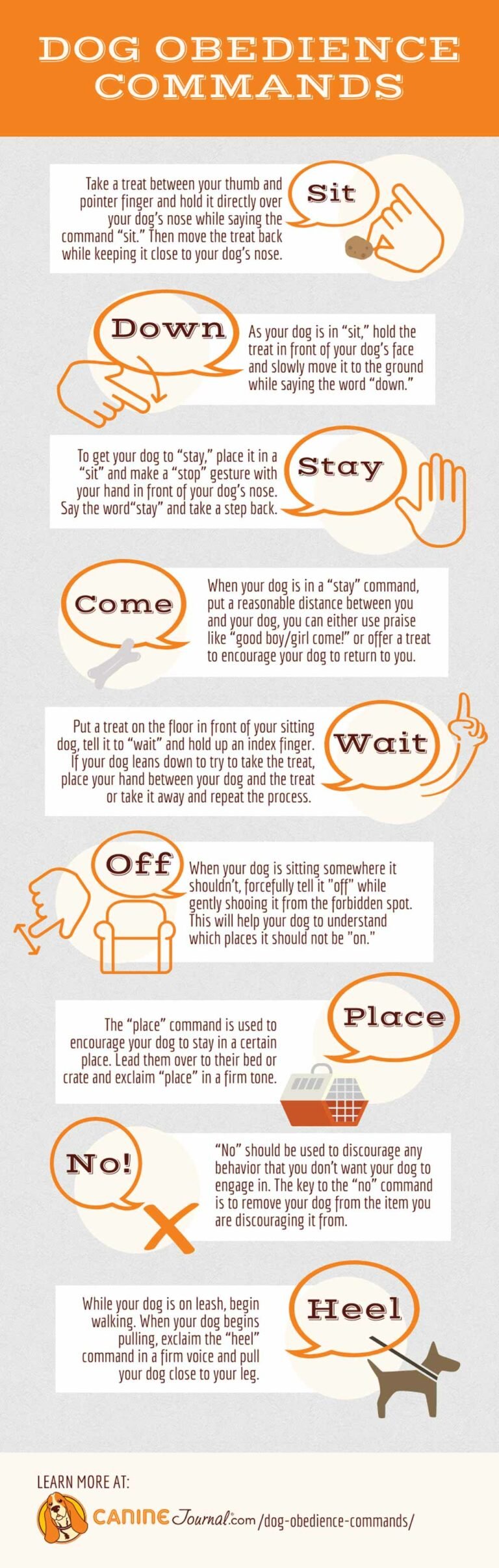 How To Teach Basic Dog Commands - Canine Journal