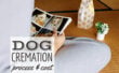 Dog Cremation Process: How Much Does It Cost And Other Questions Answered