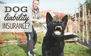 Dog Liability Insurance: Are You Afraid Your Dog May Bite Your Neighbor?