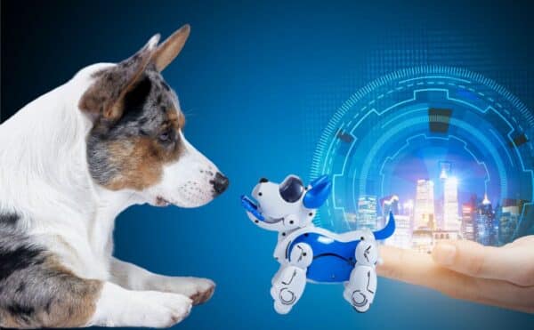 2025 Dog Trends: 15 Hottest Predictions On What's Next For Pups ...