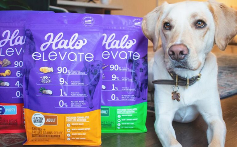 Halo Dog Food Reviews: Healthy Vegan Holistic Brand Worth The Hype?
