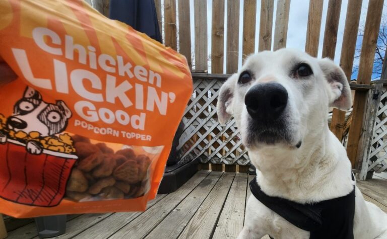 BARK Food Reviews: Recipes, Features & Our Personal Experience