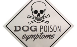 Watch Out For These Symptoms Of Dog Poisoning – CanineJournal.com