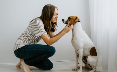 Rover Pet Sitting Reviews: Are They Safe? Background Check, Prices ...
