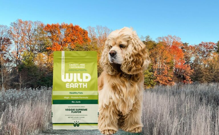 Wild Earth Dog Food Cost - Canine Journal