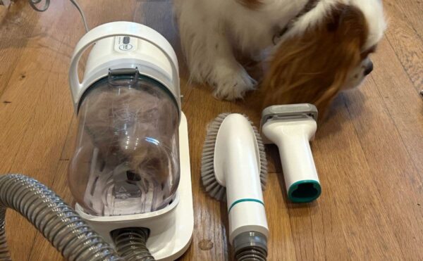 Neakasa Pet Grooming Kit Review: Is This Vacuum-Based System Right For ...