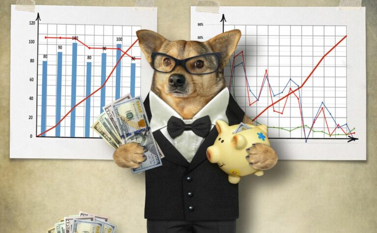 Pet Ownership Statistics: How Many Dogs Are In The World?