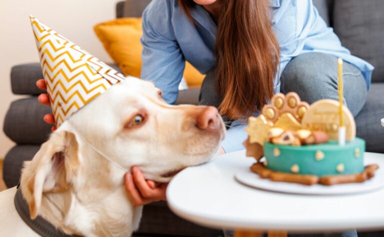 Dog Birthday Party: 10 Tips On Throwing The Best Party For Dogs & The ...