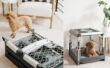 Diggs Dog Crate Review: Is The Revol Collapsible Crate Worth The Cost?