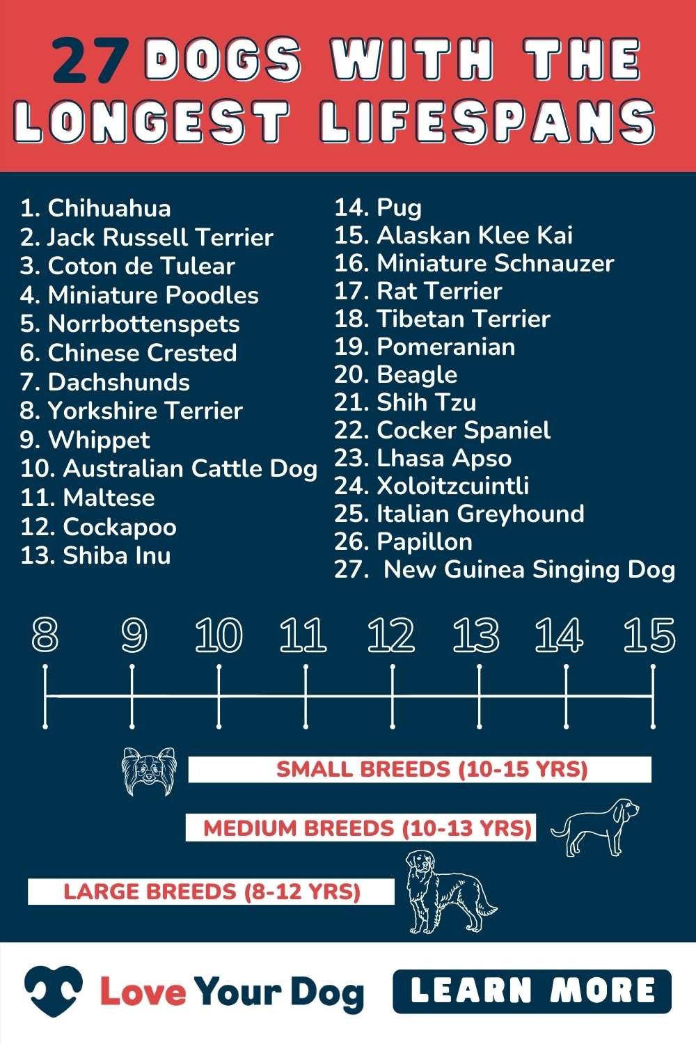 27 Dog Breeds With The Longest Lifespans, Based On Real Data | Canine ...