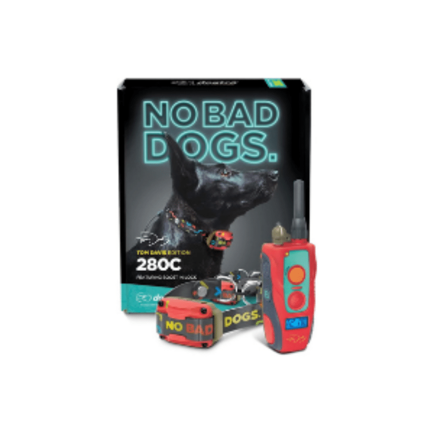 Best Shock Collar For Pitbulls & Tips On How To Use Them - Canine Journal