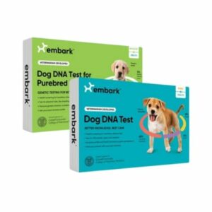 Embark Dog DNA Test Reviews: Is Your Dog's Breed (Or Age) A Mystery ...