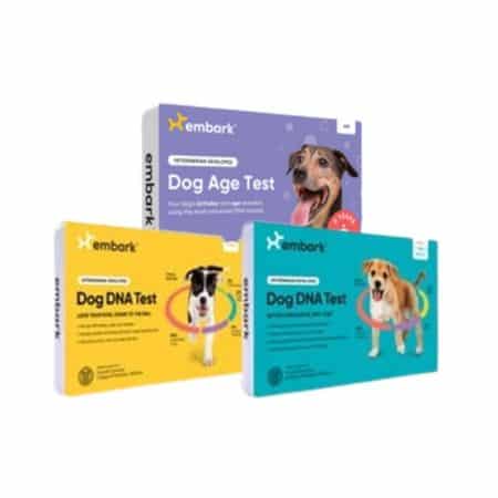 What Is A Dog Age Test