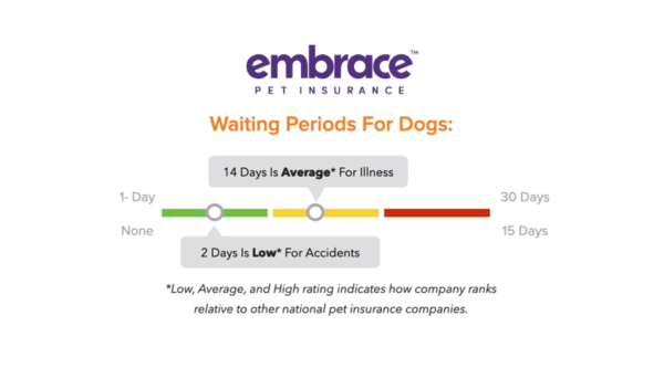 Embrace Pet Insurance Reviews: Claims, Coverage, Customer Service ...