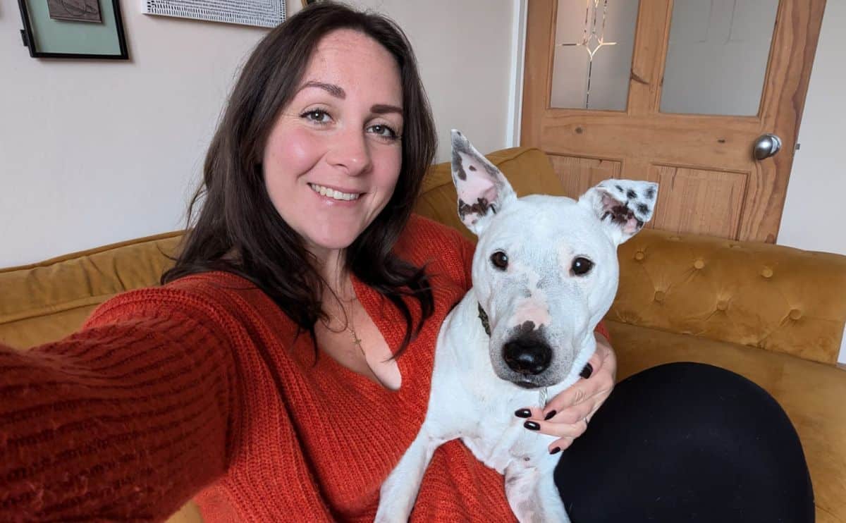 Abandoned After Arrest: This Dog Lost Everything—Until a Cop Changed ...