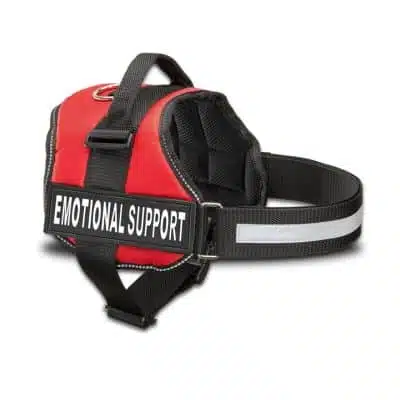 Best ESA Certification: Legitimate Emotional Support Animal Registration