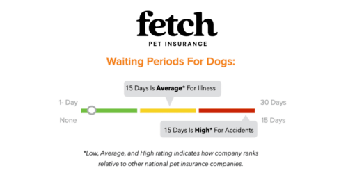 Fetch Pet Insurance Reviews: Coverage, Wellness Rewards, Plans ...