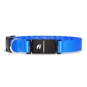Best Dog Activity Monitor: FitBark vs Whistle vs Halo Collar 4 vs ...