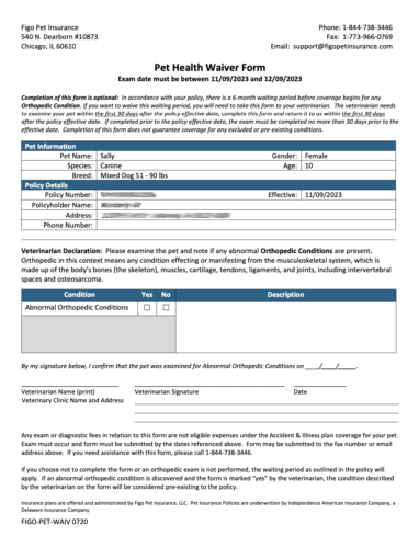 Figo Pet Insurance Reviews: What Does It Cover? Cost And Quote ...