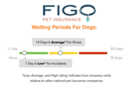 Figo Pet Insurance Reviews: What Does It Cover? Cost And Quote ...