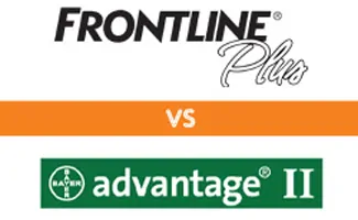 Frontline vs Advantage: Which Is Better To Keep Your Dog Flea Free ...
