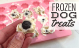 Best Frozen Dog Treats: How To Make Them, Recipes & More - Canine Journal