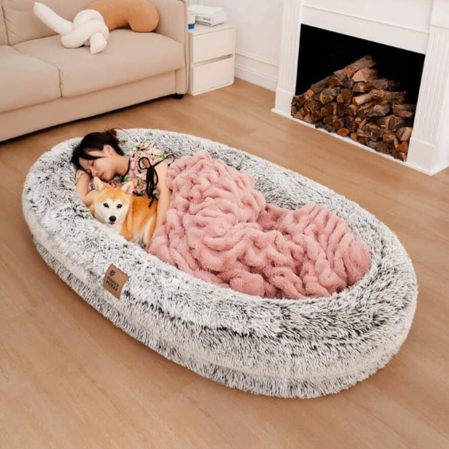 Funny Fuzzy Review: How Good Is This Popular Pet Brand, Funny Fuzzy ...