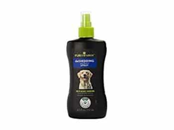 What's The Best Pet Odor Neutralizer For Dogs, Cats & Homes?