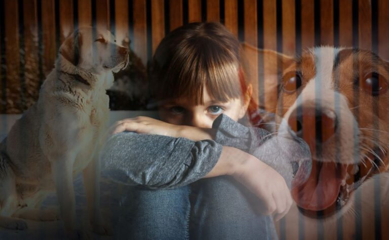 Why Some People Secretly Hate Dogs (And What It Says About Them)
