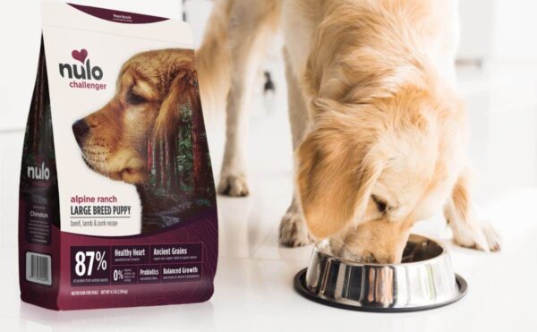 Nulo Dog Food Reviews: Low-Glycemic, High-Protein Options - Canine Journal