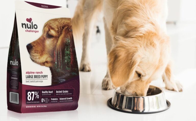 Nulo Dog Food Reviews: Low-Glycemic, High-Protein Options - Canine Journal