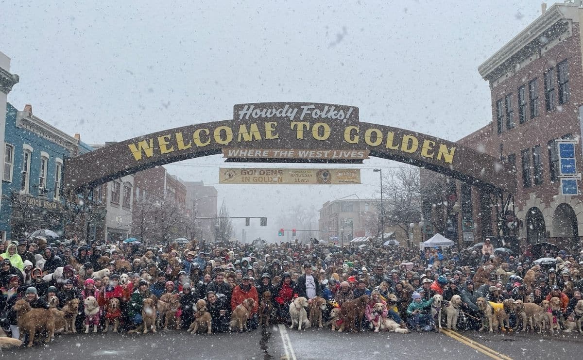 Annual Dog Breed Meet-Ups & Events For Dog Lovers - Canine Journal