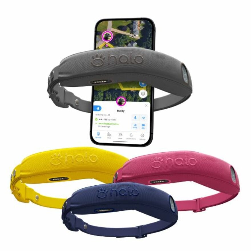 Best Smart Dog Collar: Fi vs Whistle vs Tractive vs FitBark vs Halo 5 ...
