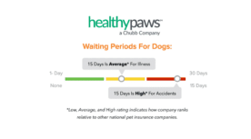 Healthy Paws Pet Insurance Reviews: Customer Service, Coverage, Waiting ...