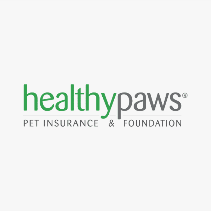 Best Pet Insurance For Rottweilers - Canine Journal