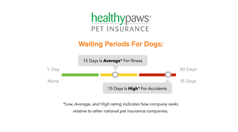 Healthy Paws Pet Insurance Reviews: Customer Service, Coverage, Waiting ...