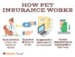 Best Pet Insurance Companies In May 2025: Reviews, Pros, Cons ...