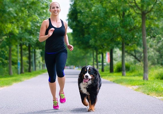 20 Fat-Burning Exercises That Will Bond You And Your Dog! | Canine Journal