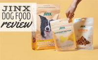 Jinx Dog Food Review: Nutritious Kibble That Will Make Dogs' Tails Wag
