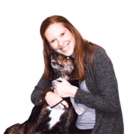 Best Rabbit Insurance: Hop Your Bunny Into Coverage Today