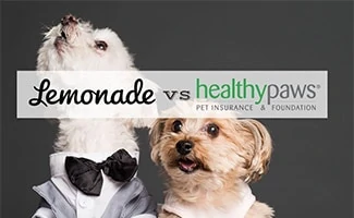 Lemonade Pet Insurance vs Healthy Paws: Coverage, Customer Service ...
