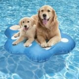 5 Best Dog Floaties For The Pool, Beach & More - Canine Journal
